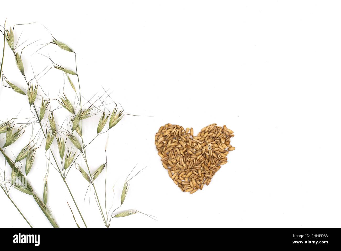 Oat ears branch and whole oat groats heart shaped isolated on a white ...
