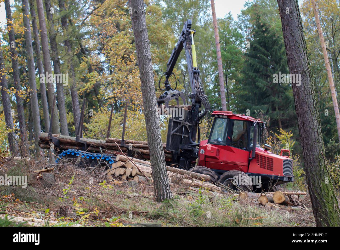 A forest vehicle in a forest clearing felled trees Stock Photo - Alamy