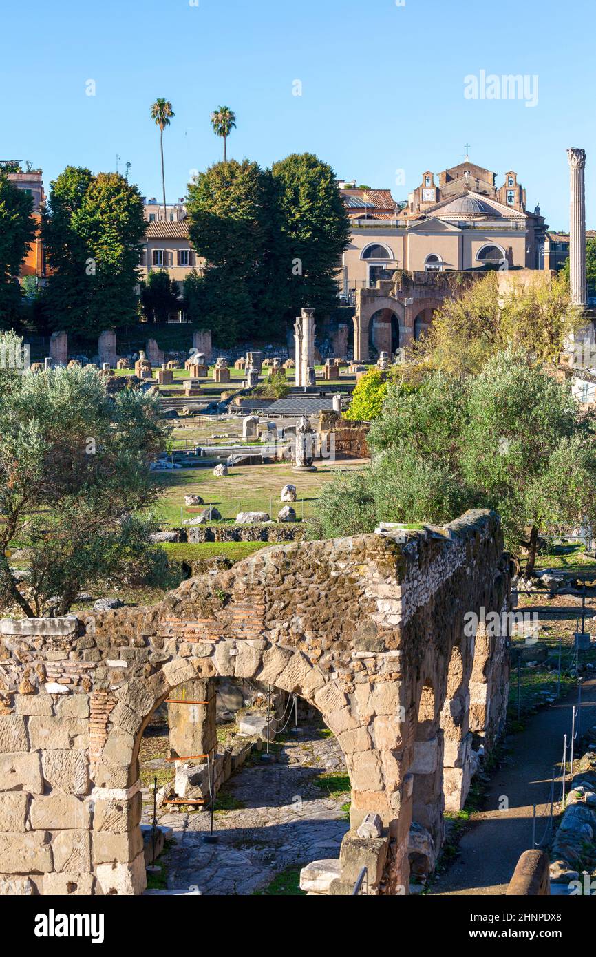 Forum Romanum, view of the ruins of several important ancient buildings ...