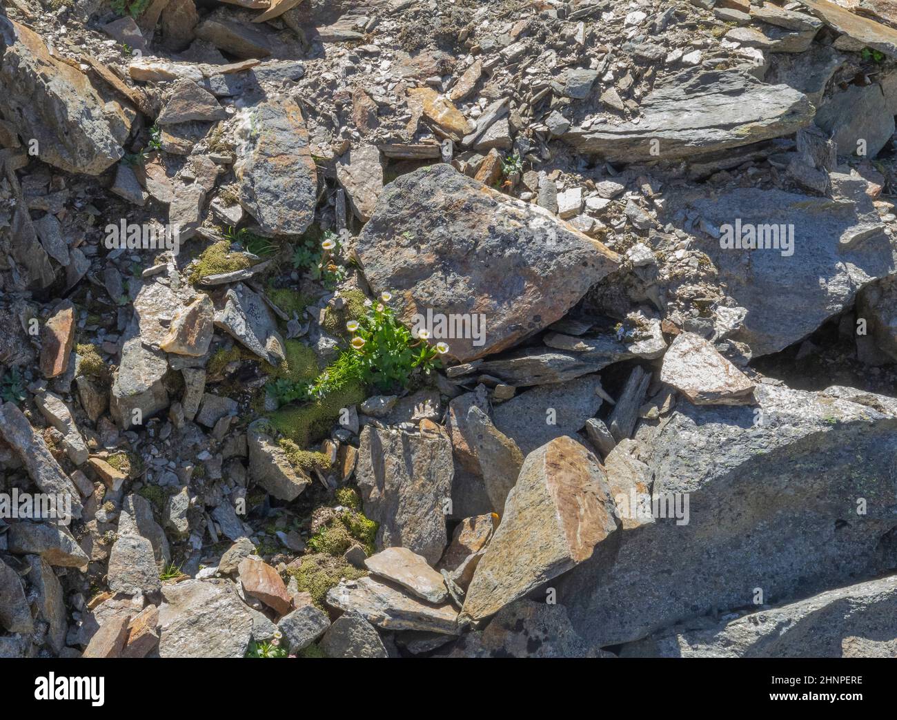 Detail shot of alpine rock formations seen around the Stubaital in ...