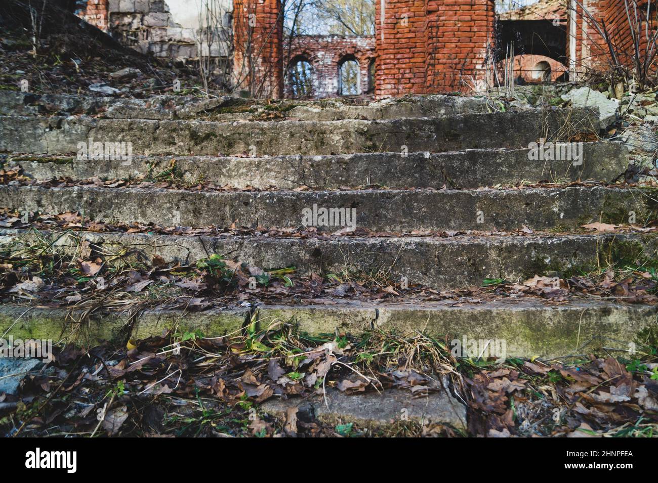 ruins of a copper mine building on Bodmin moor Stock Photo - Alamy