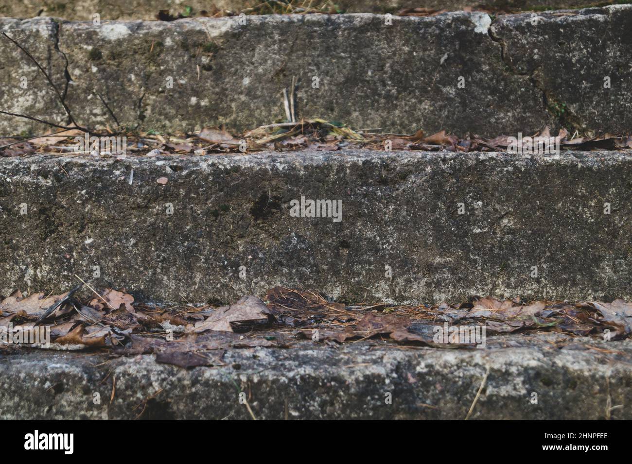 ruins of a copper mine building on Bodmin moor Stock Photo - Alamy