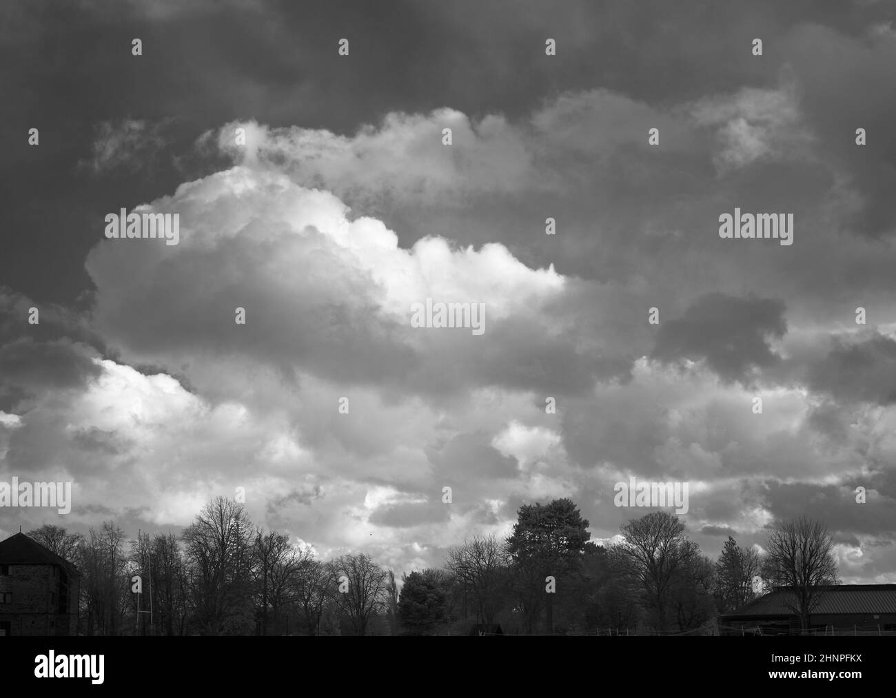Infrared light image Black and White Stock Photos & Images - Alamy