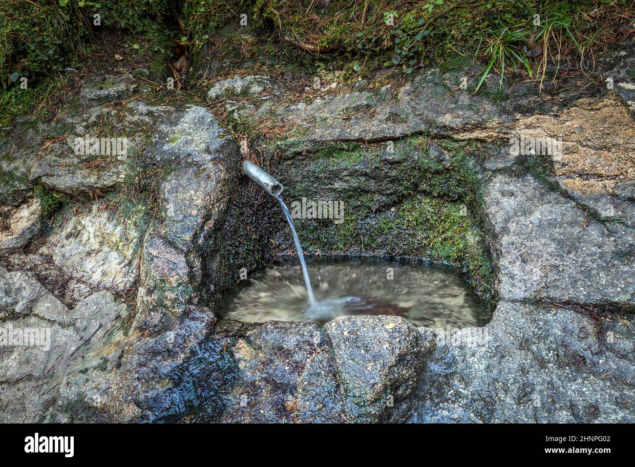 Spring of water in a forest of The Mala Fatra National Park, not far ...