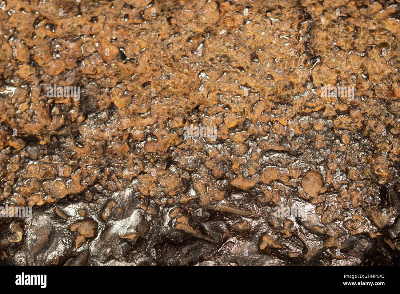 Meteorite texture background. meteorite surface close up. stone ...