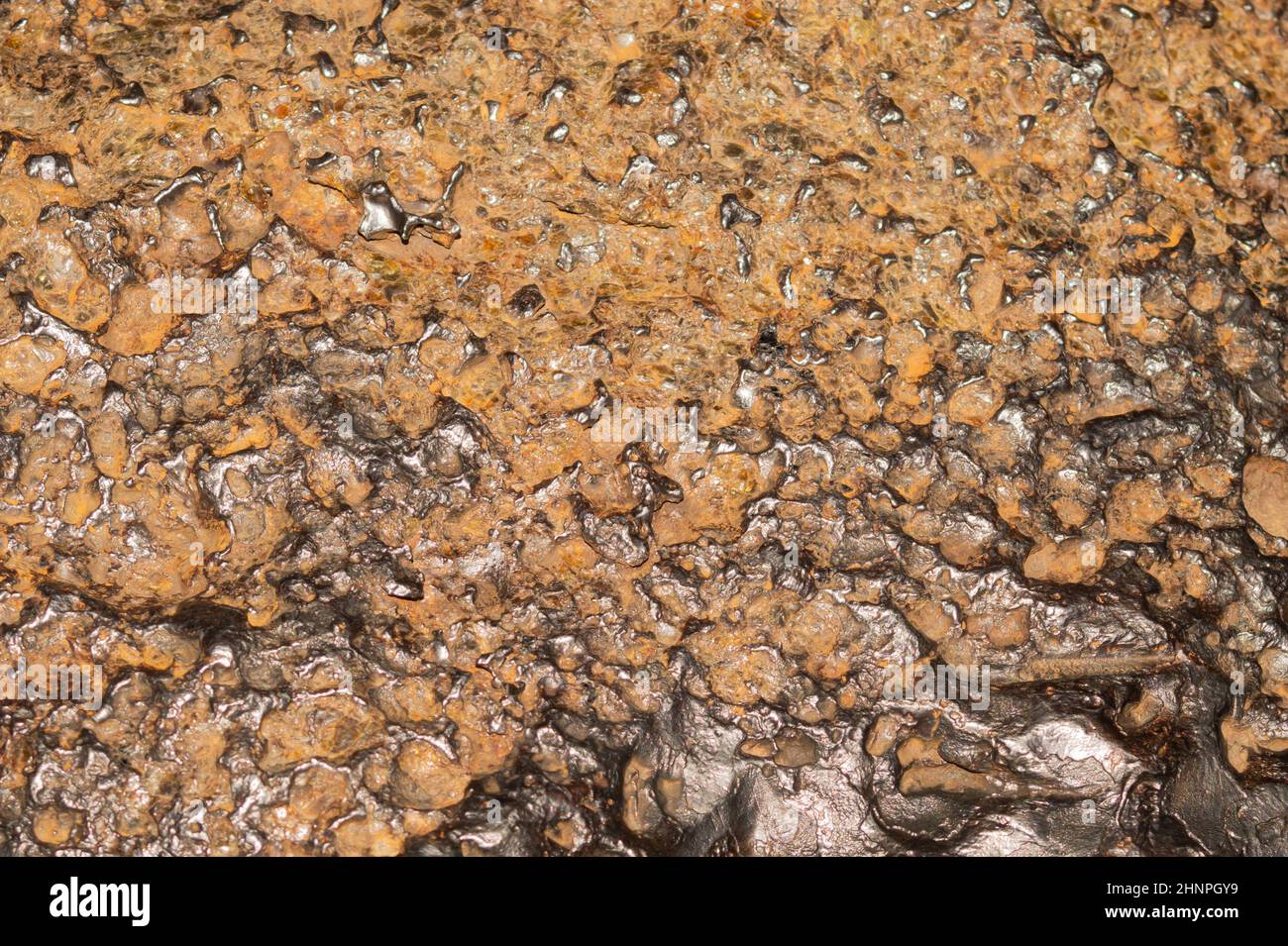 Meteorite texture background. meteorite surface close up. stone ...