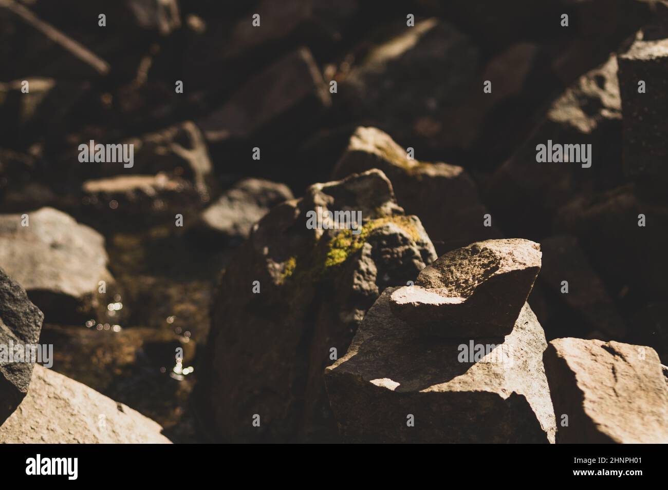 small stone turrets in the forest. stone sculptures background Stock ...