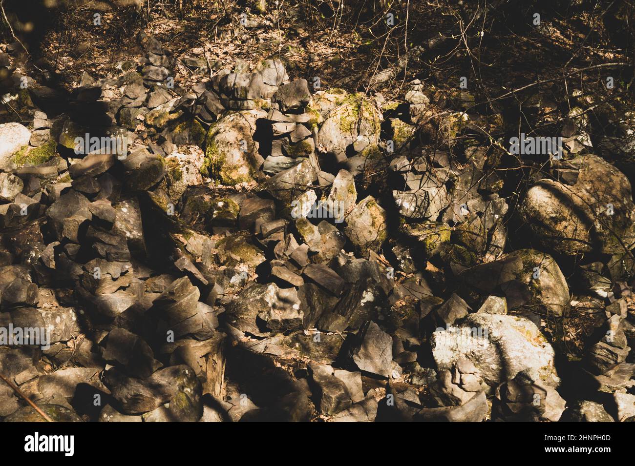 small stone turrets in the forest. stone sculptures background Stock ...