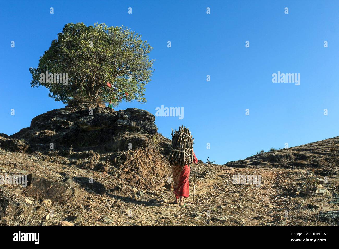 Old woman carrying wood hi-res stock photography and images - Alamy