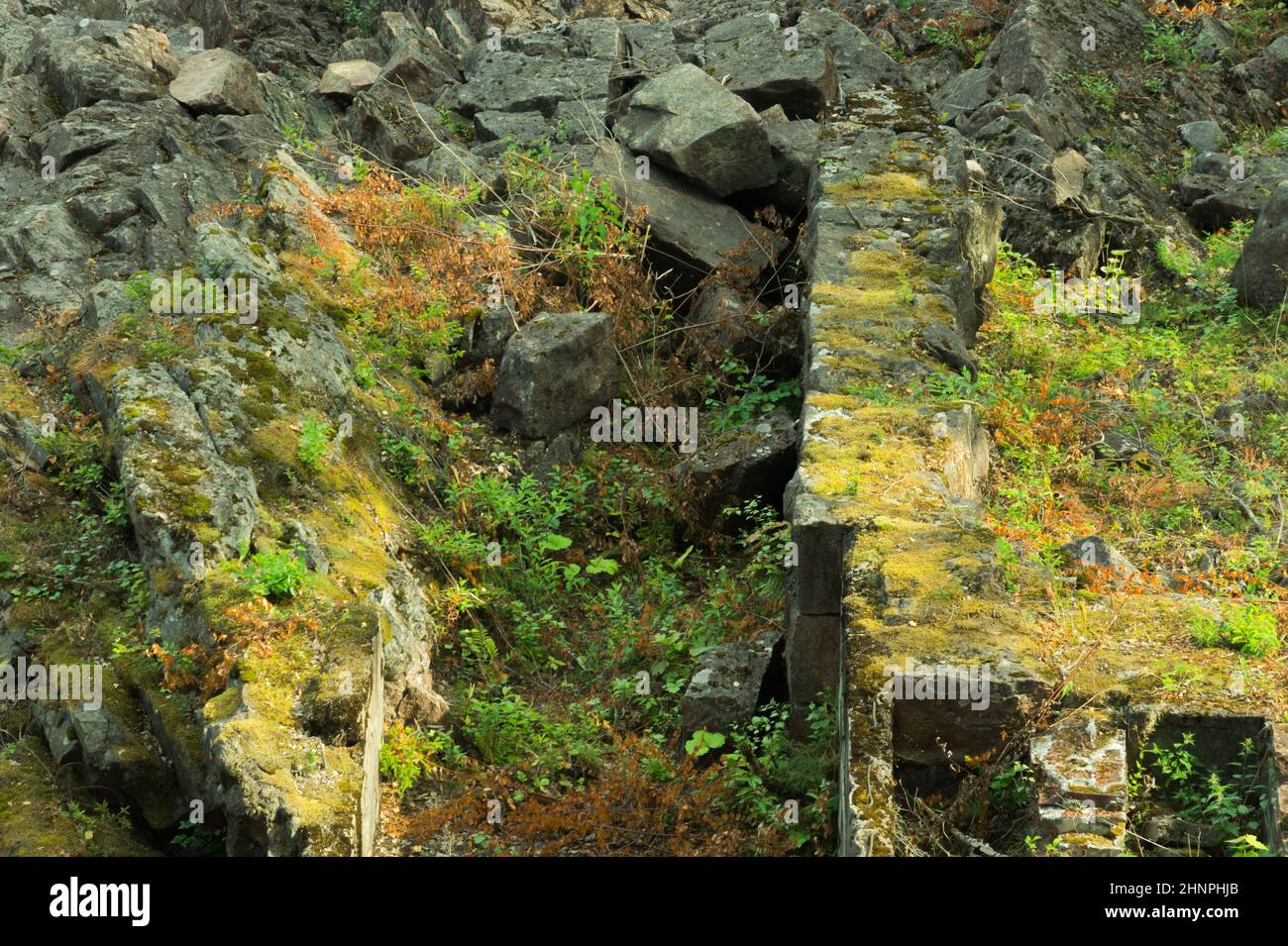 Rock of layered stone overgrown with grass and moss. texture of stone ...
