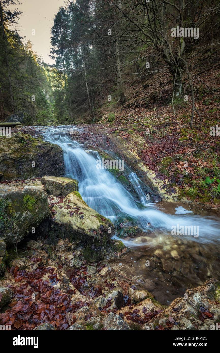 Waterfall in a forest of The Mala Fatra National Park, not far from the ...