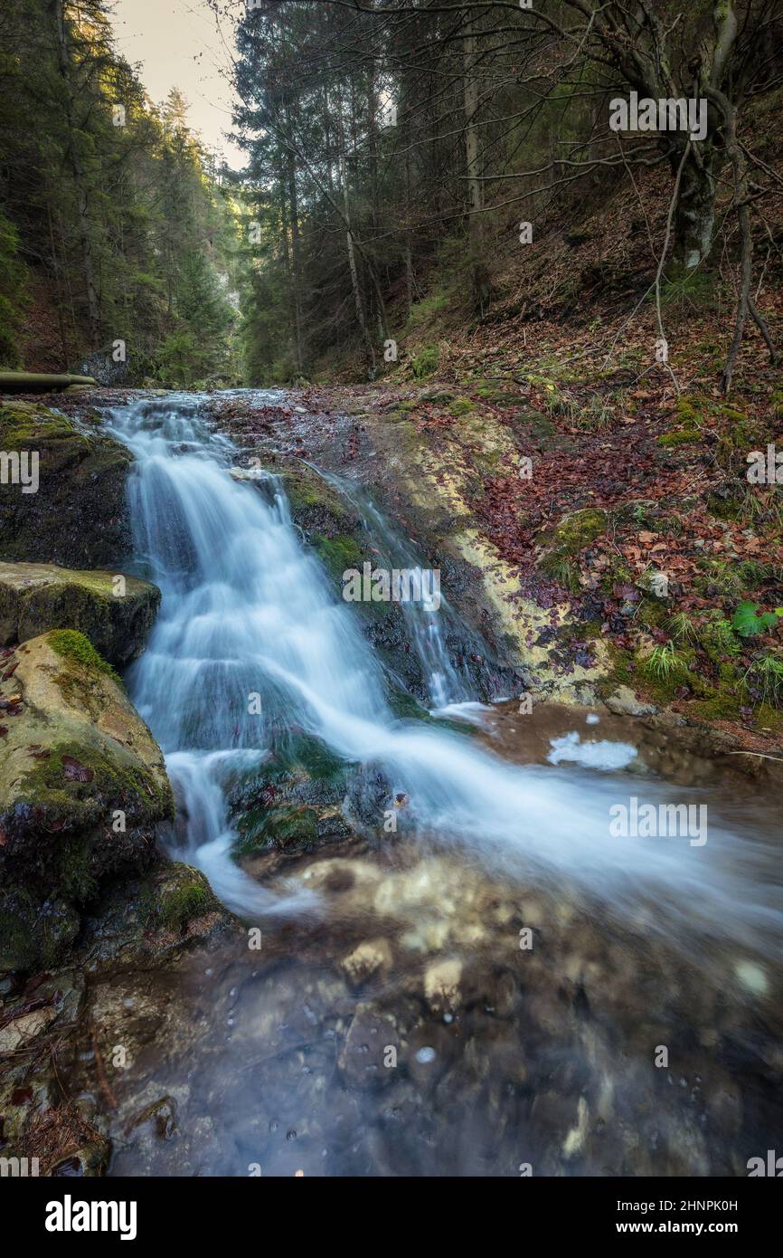 Waterfall in a forest of The Mala Fatra National Park, not far from the ...