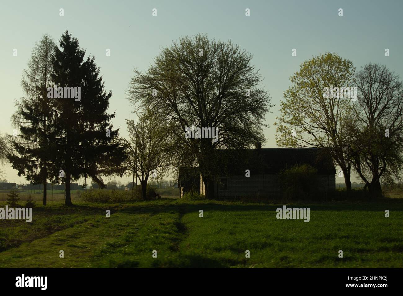 Traditional wooden house in the natural environment scene. nature ...