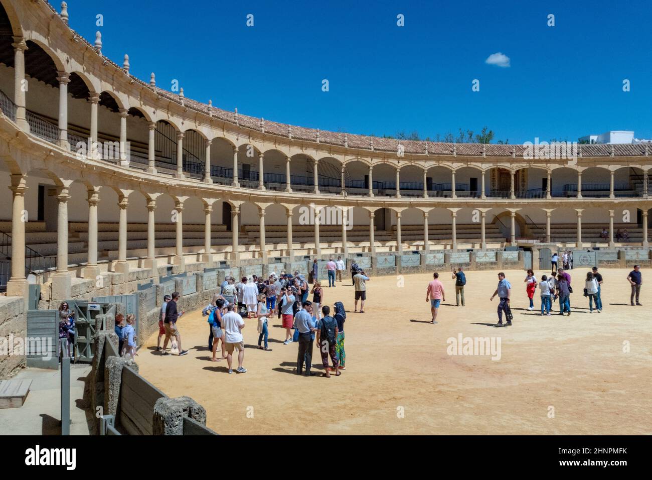 Toro de corrida de toros hi-res stock photography and images - Alamy