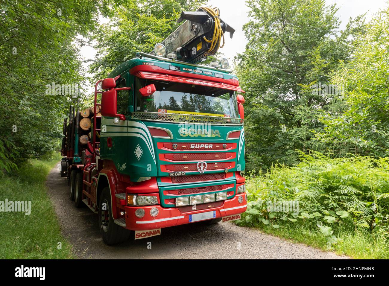 truck with loaded trees transports wood from the forest Stock Photo - Alamy