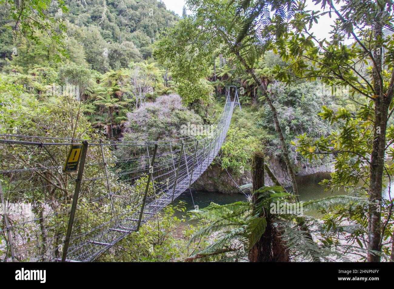 The view of Te Pourewa swing bridge in Te Urewera National Park, New ...