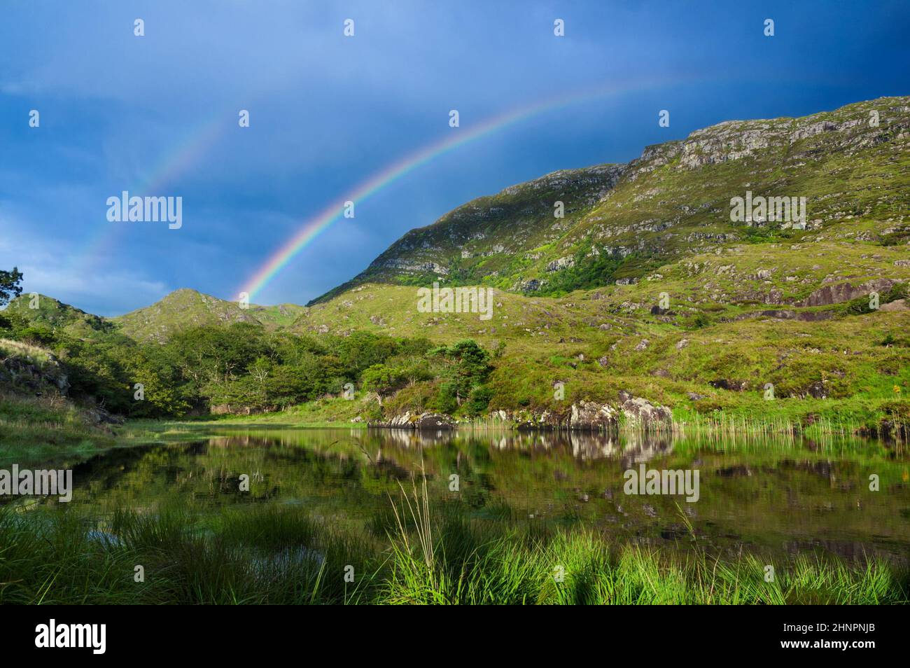 Colorful rainbow over green hills in Ireland Stock Photo - Alamy