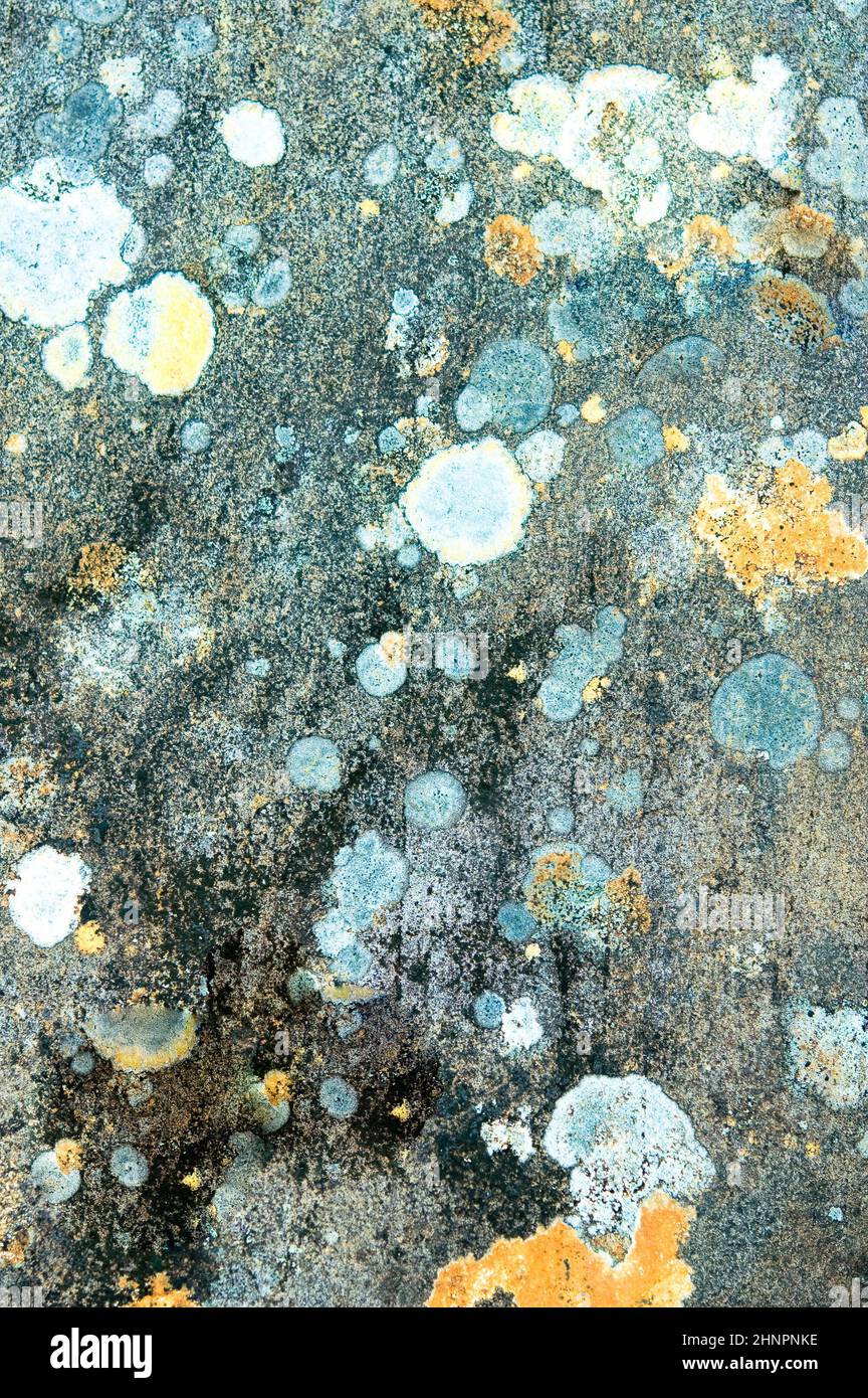 Stained wall textured background Stock Photo - Alamy