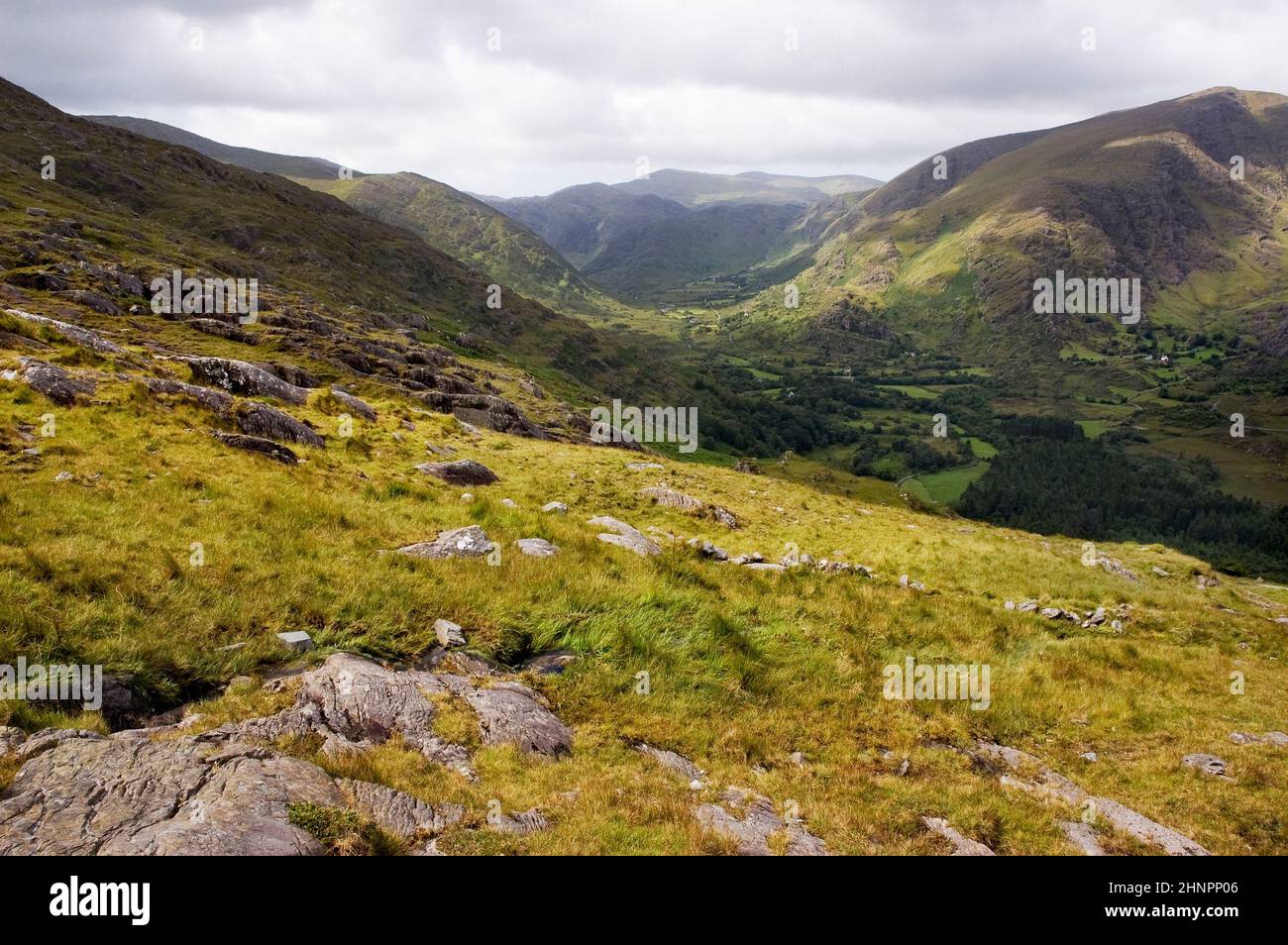 Typical Irish landscape in Killarney National Park Stock Photo - Alamy