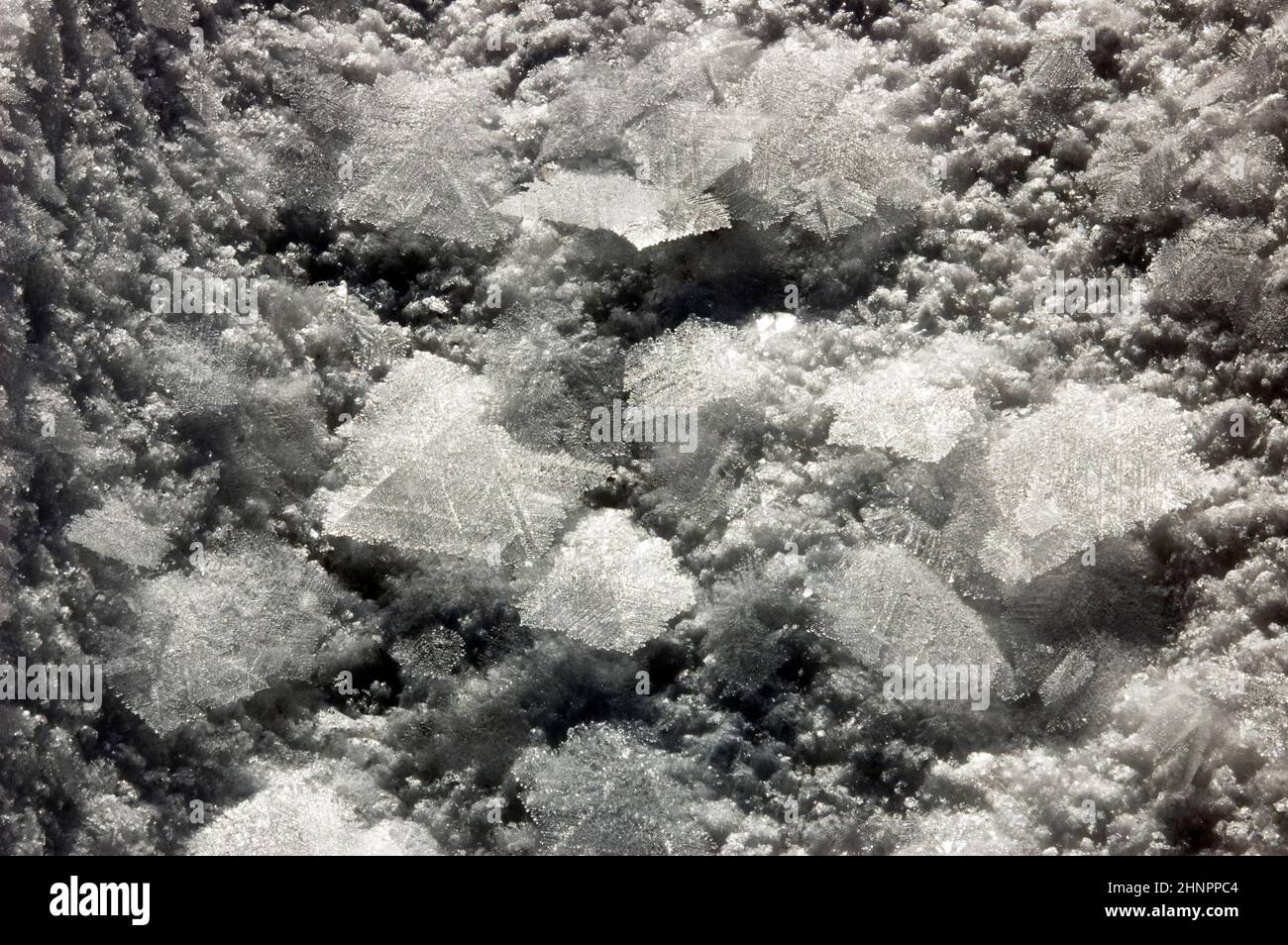 Snowflake crystals captured on a sunny evening. Ideal for winter ...