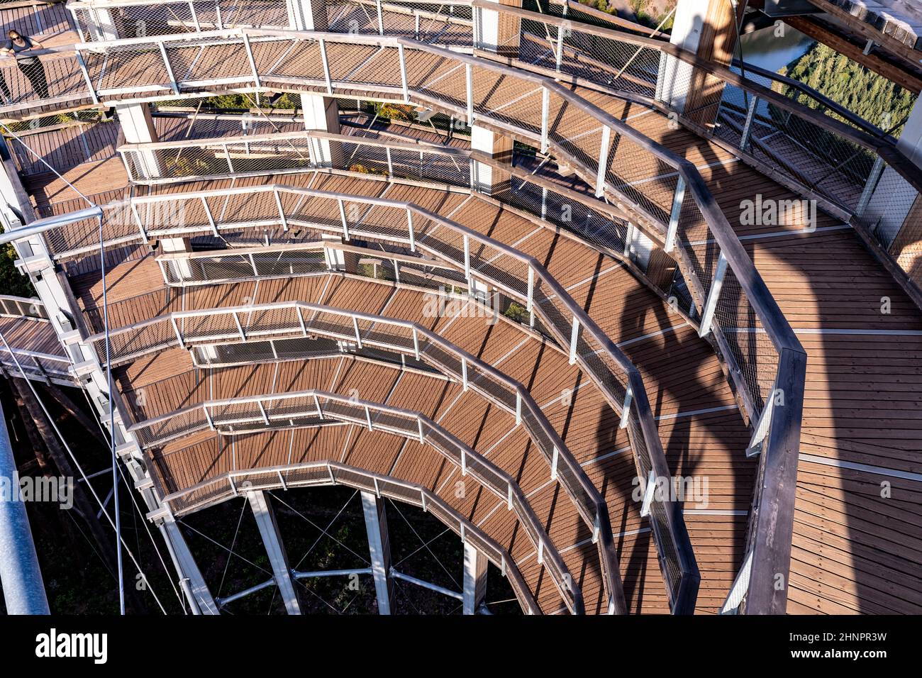 famous treetop path at saar loop Stock Photo - Alamy