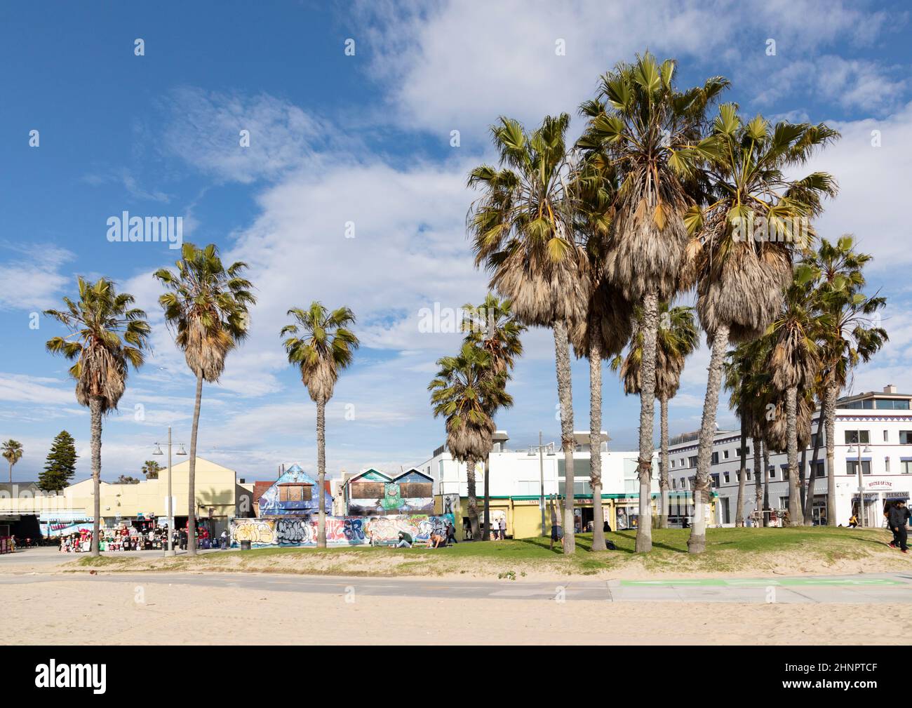 people enjoy scenic beach promenade with palms and colorful houses at ...