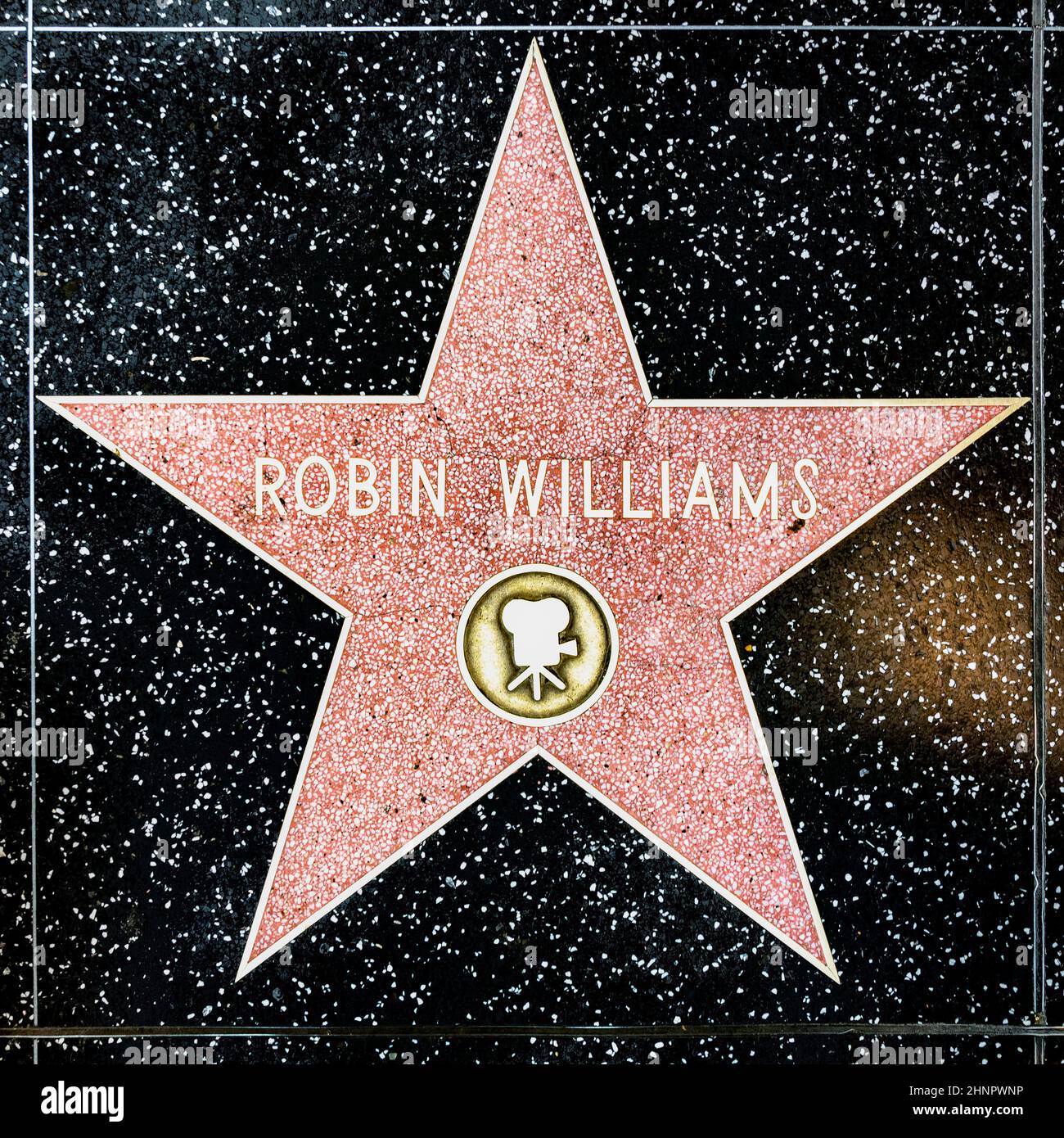 closeup of Star on the Hollywood Walk of Fame for Robin Williams Stock ...