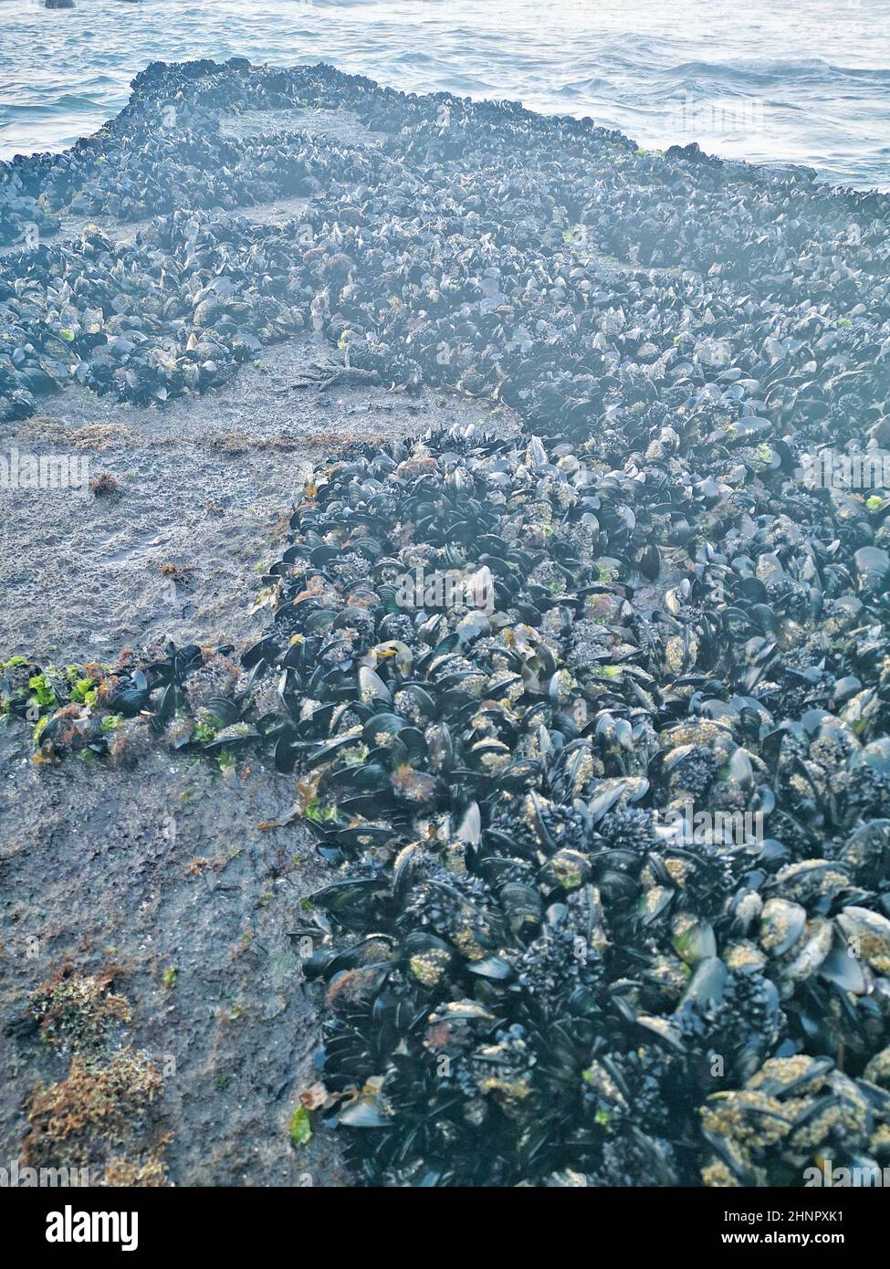 Maukatia bay hi-res stock photography and images - Alamy