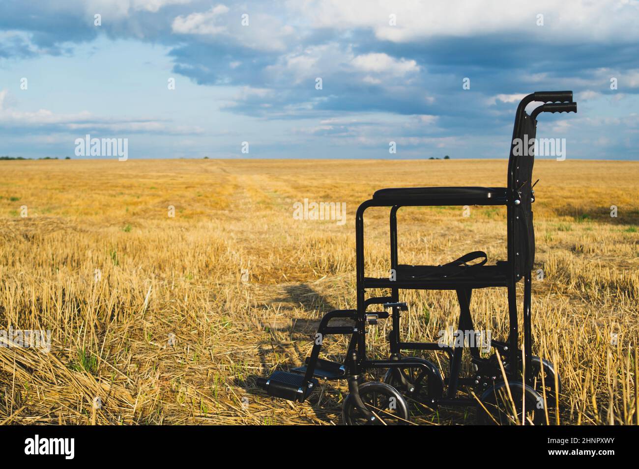 Empty wheelchair in a wide meadow. disabled carriage in nature. medical ...