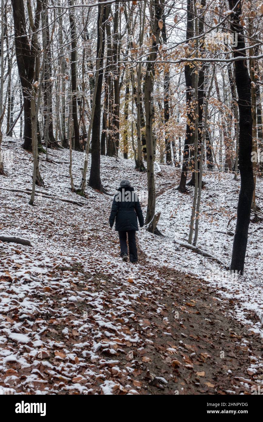 Action trees hi-res stock photography and images - Alamy