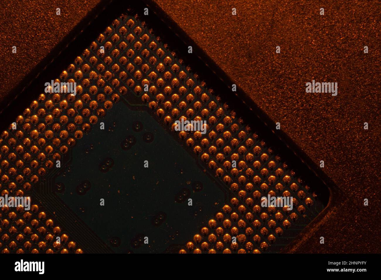 Processor pins macro. computer motherboard close up. cpu pins on a circuit board. micro elements ...