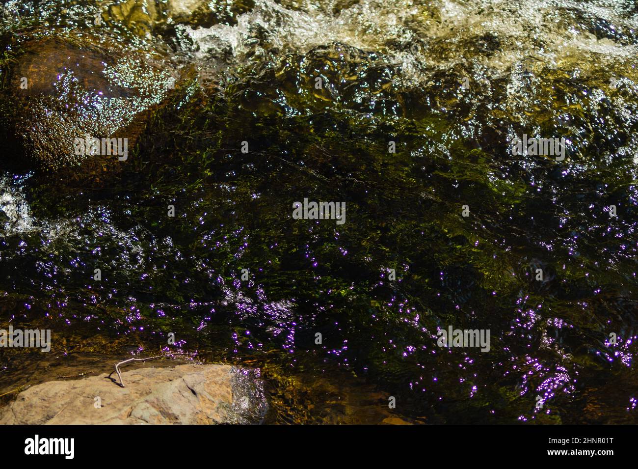 water abstract background. water surface with ripples texture Stock ...