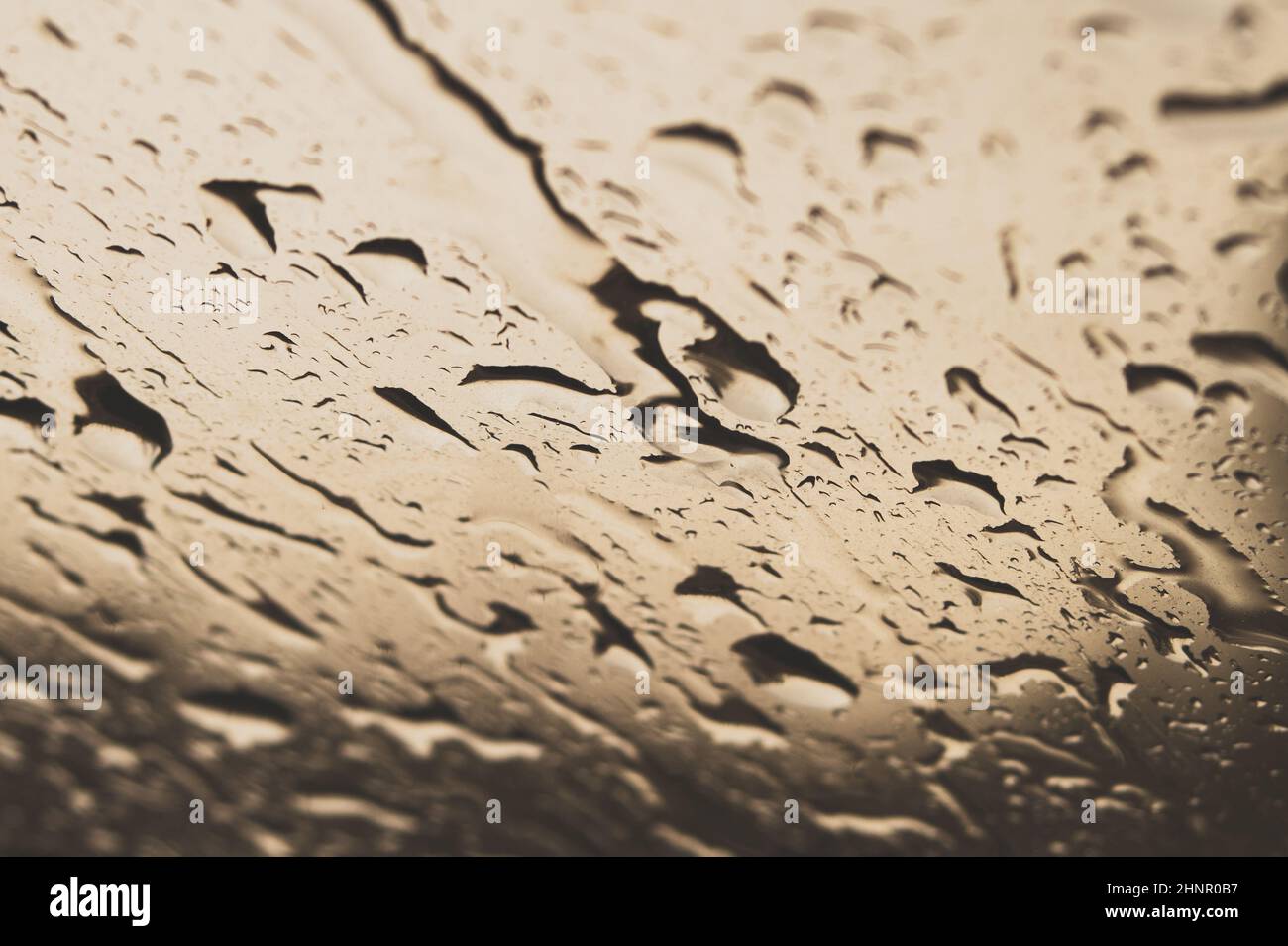 Raindrops on the window close up. rain drops on the glass macro. water ...