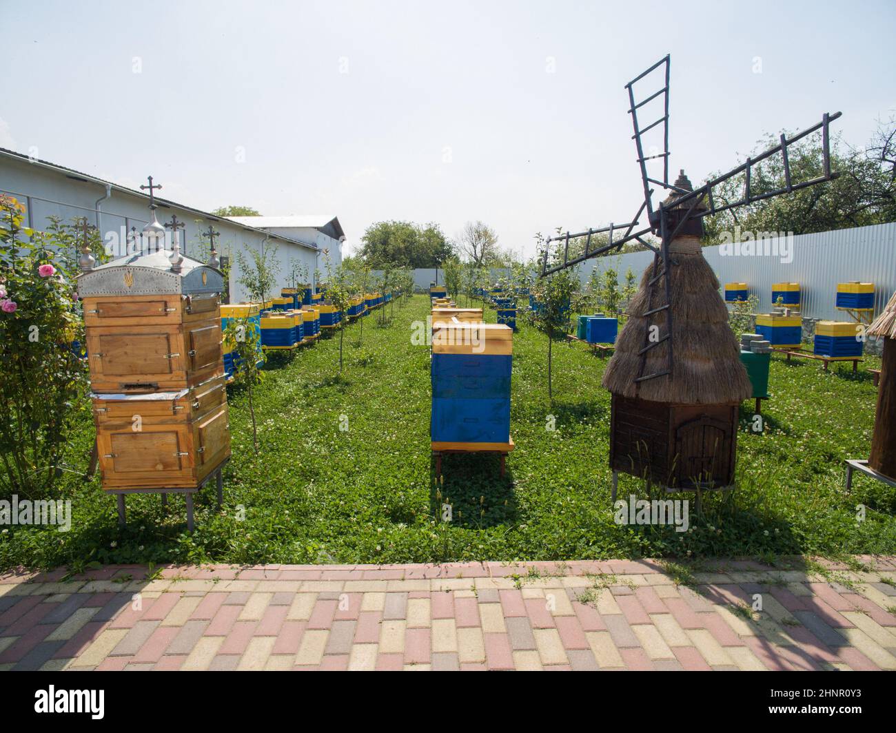 Great Apiary. Industrial beekeeping with honey bees Stock Photo - Alamy