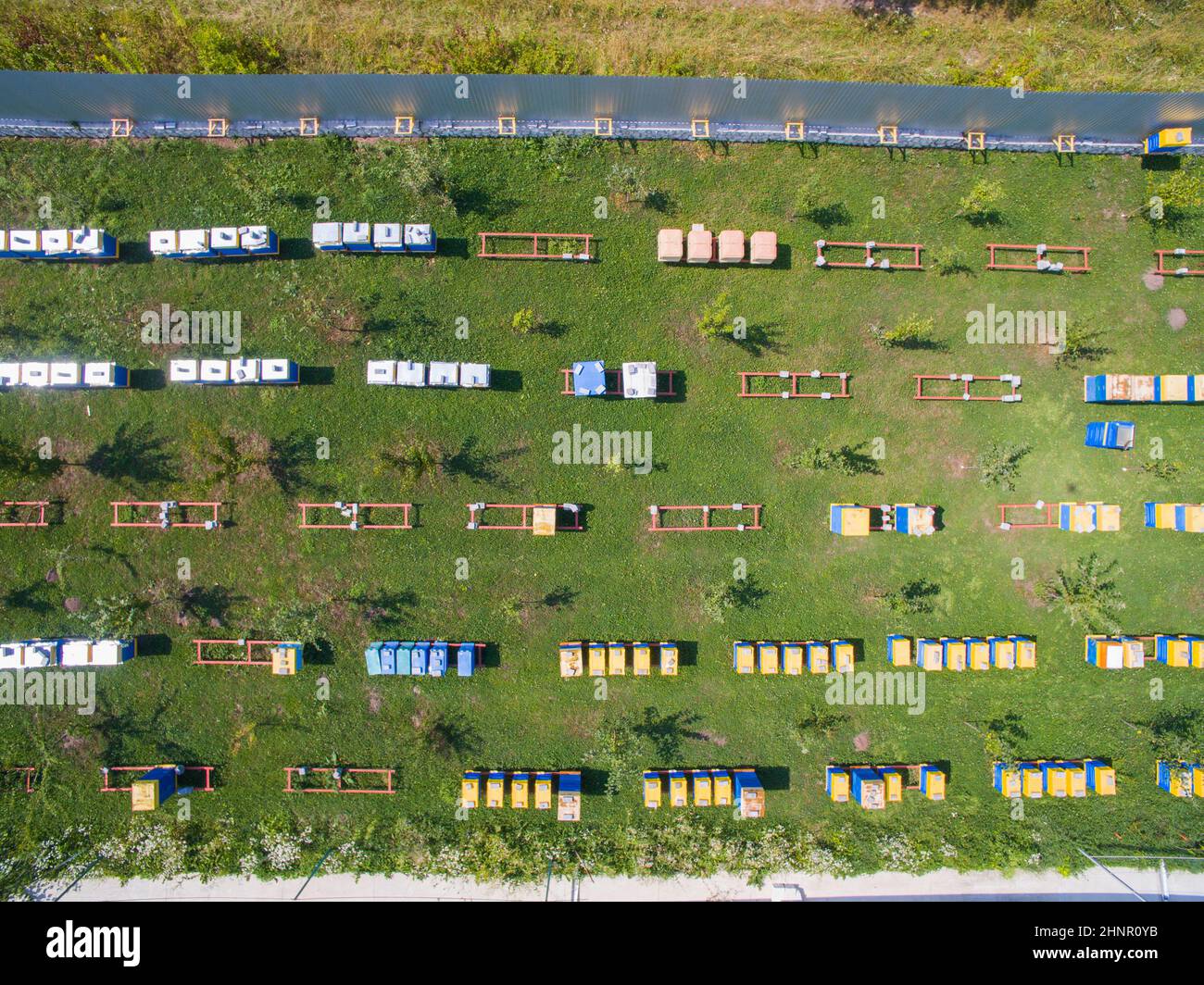 Aerial view of Many bee hives. Industrial beekeeping Stock Photo - Alamy