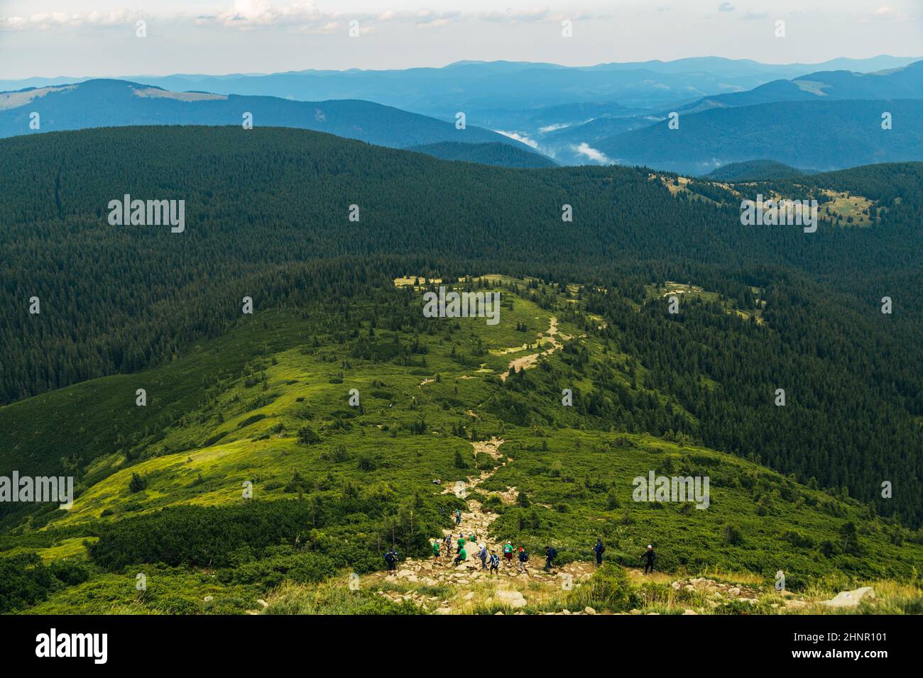 Lush green summer hiking hi-res stock photography and images - Alamy