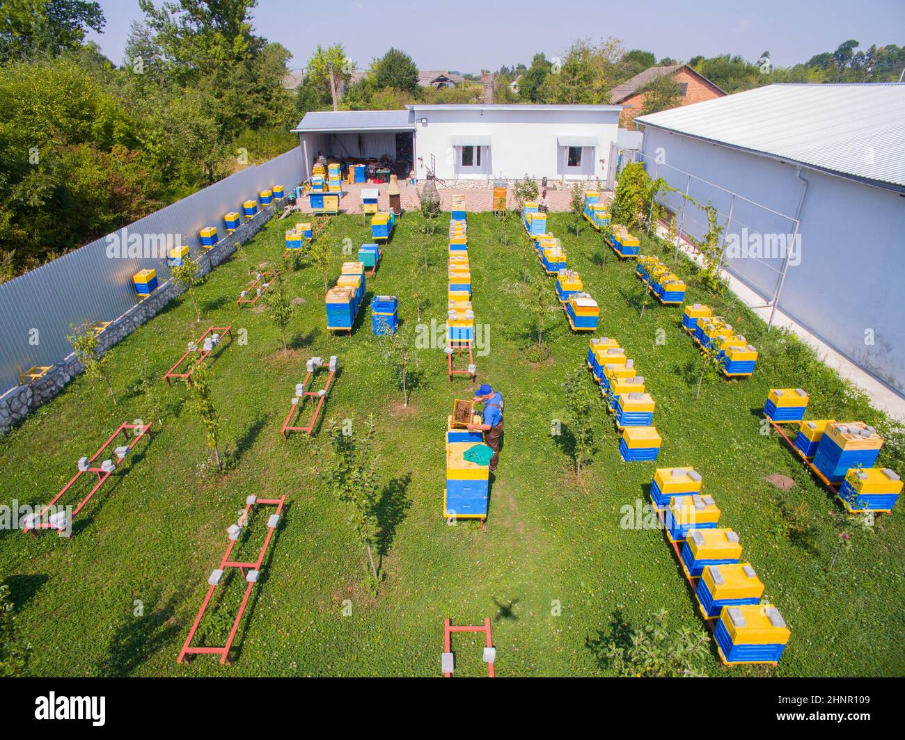 Aerial view over an industrial bee apiary. Many rows of beehives Stock ...