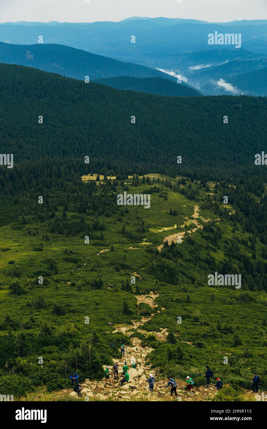 Sun through large tree hi-res stock photography and images - Alamy