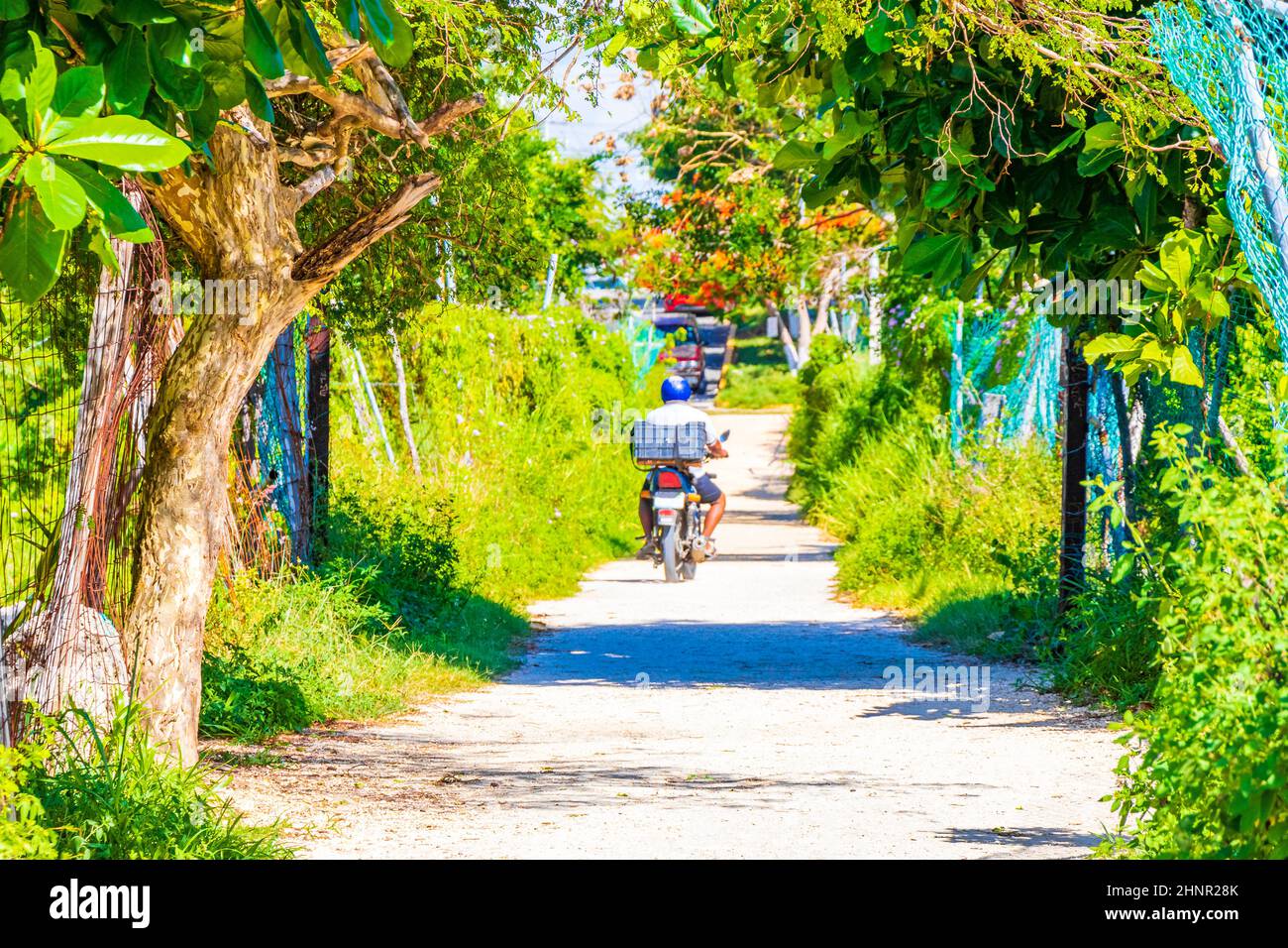 Mexican entrance hi-res stock photography and images - Alamy
