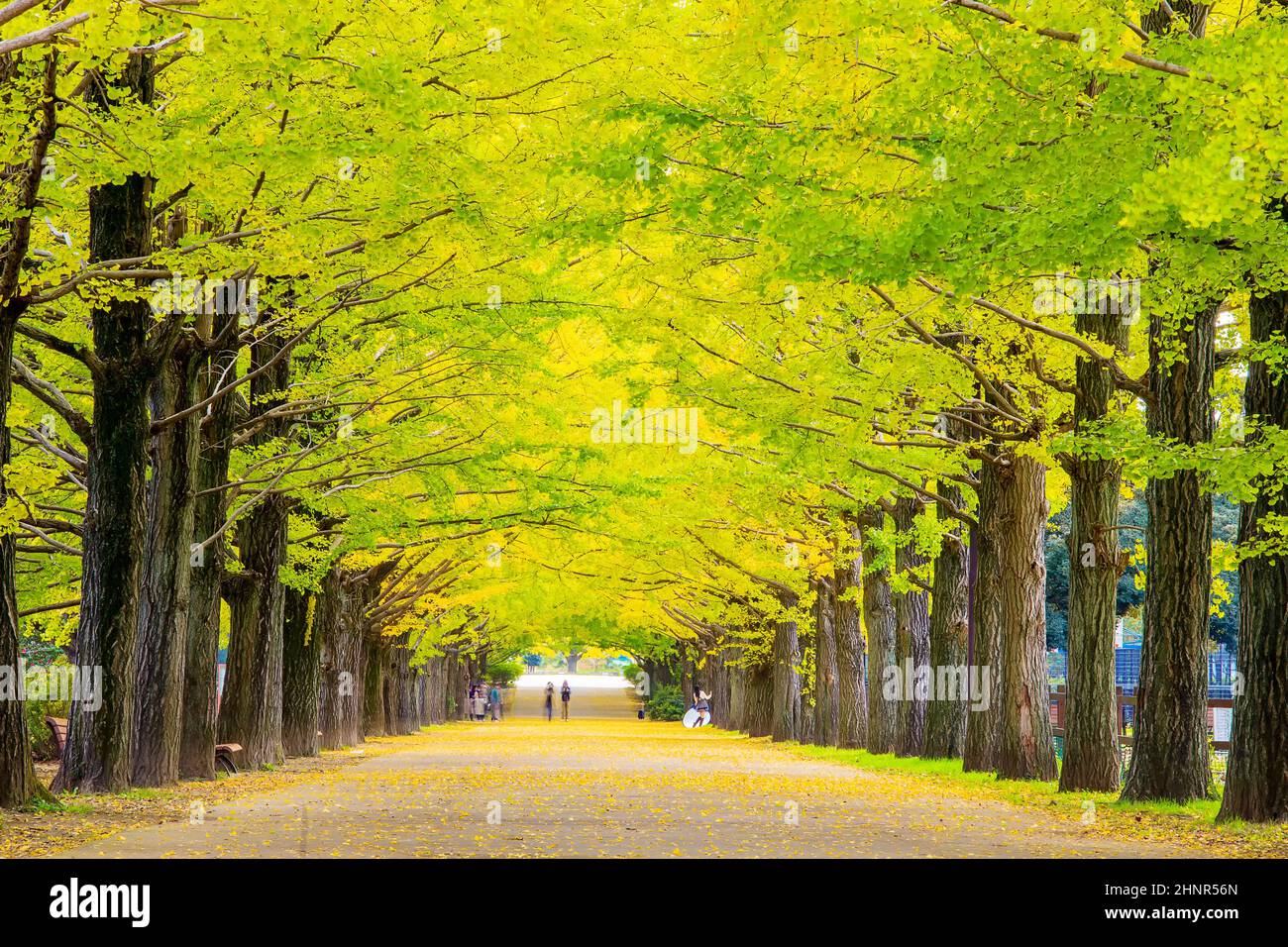 Icho tower hi-res stock photography and images - Alamy