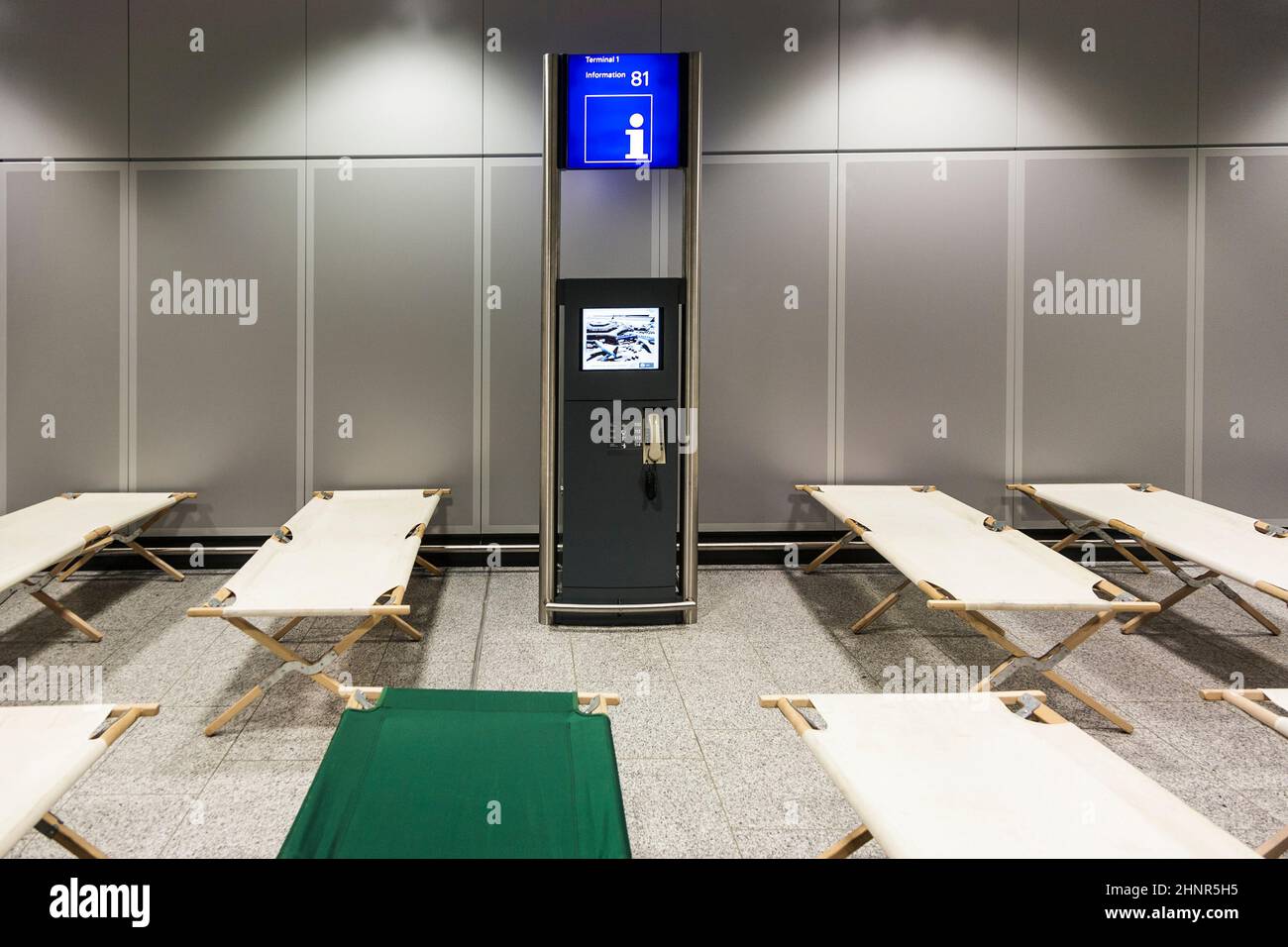 empty camp beds are standing row by row in the airport terminal Stock ...