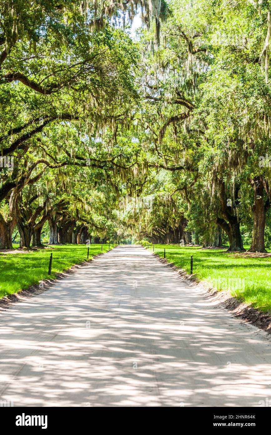 Alley detail hi-res stock photography and images - Alamy