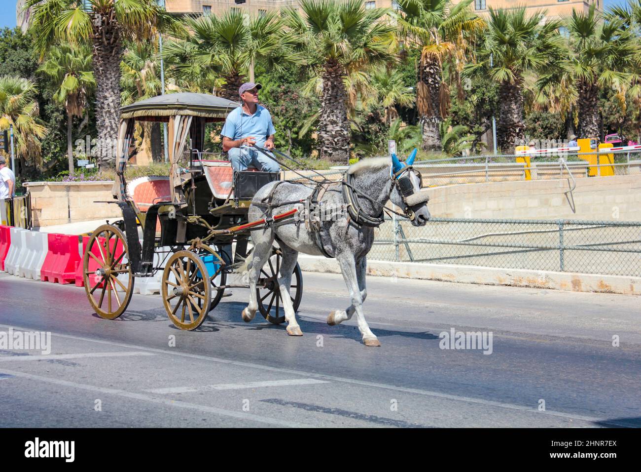 horse coach rider in Valetta on a public street Stock Photo - Alamy