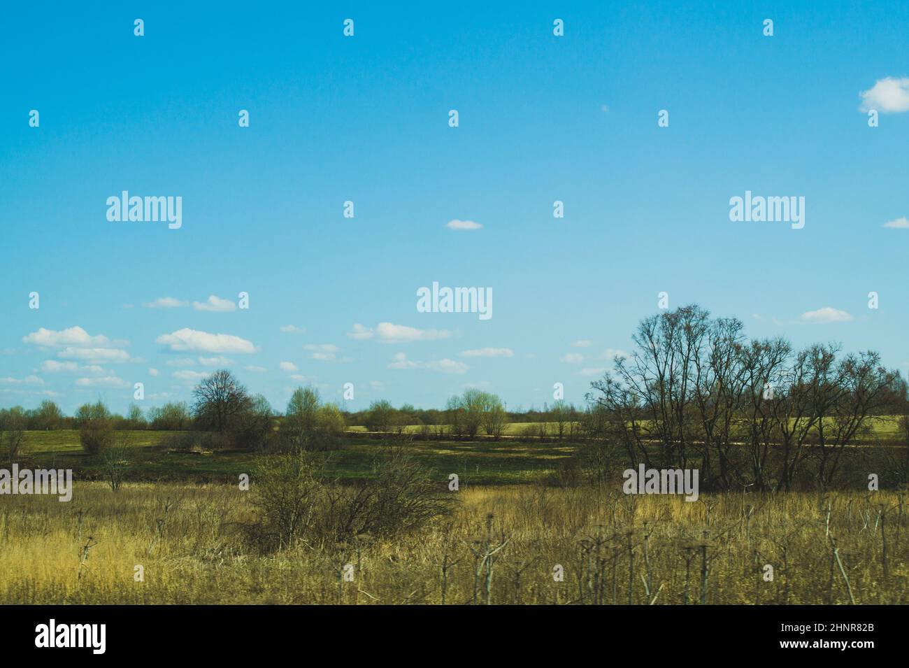 Wide field and the sky nature background. horizon line Stock Photo - Alamy