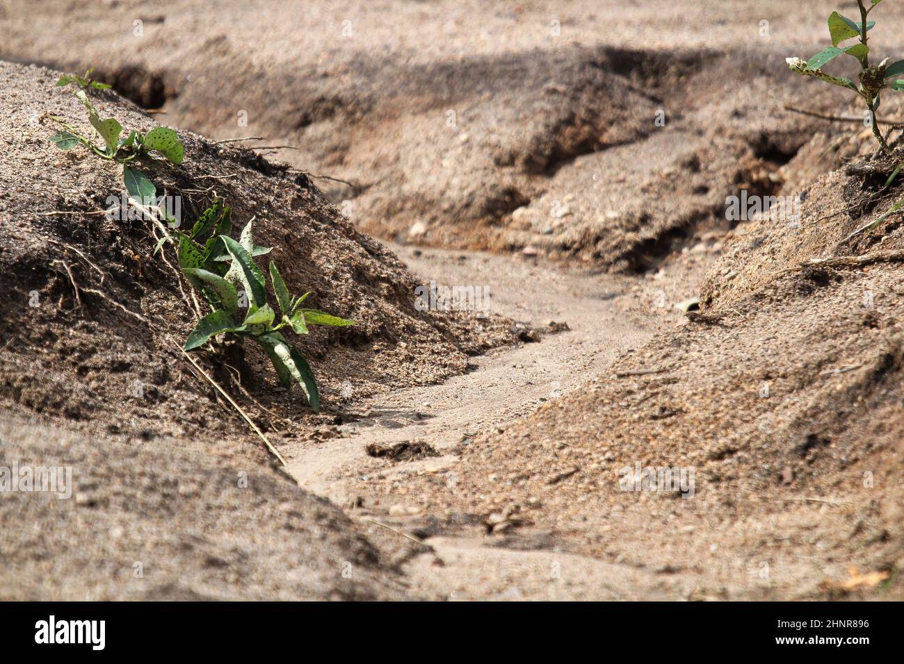 Water layer weathering hi-res stock photography and images - Alamy