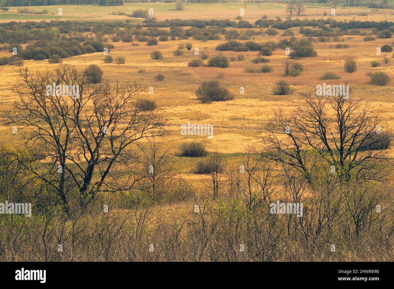 Nature panoramic landscape view from high. field with plants and trees ...