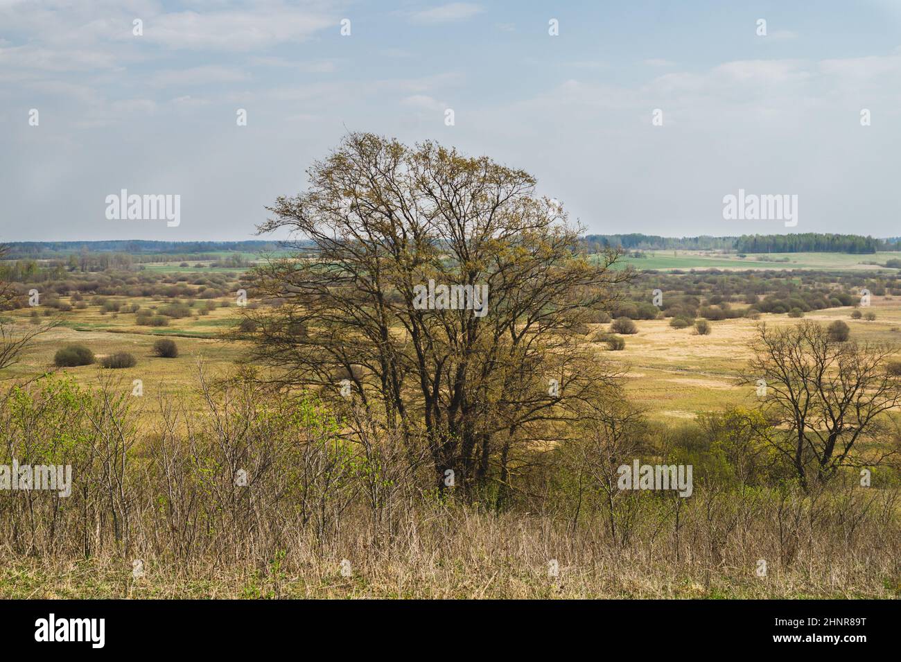 Nature panoramic landscape view from high. field with plants and trees ...
