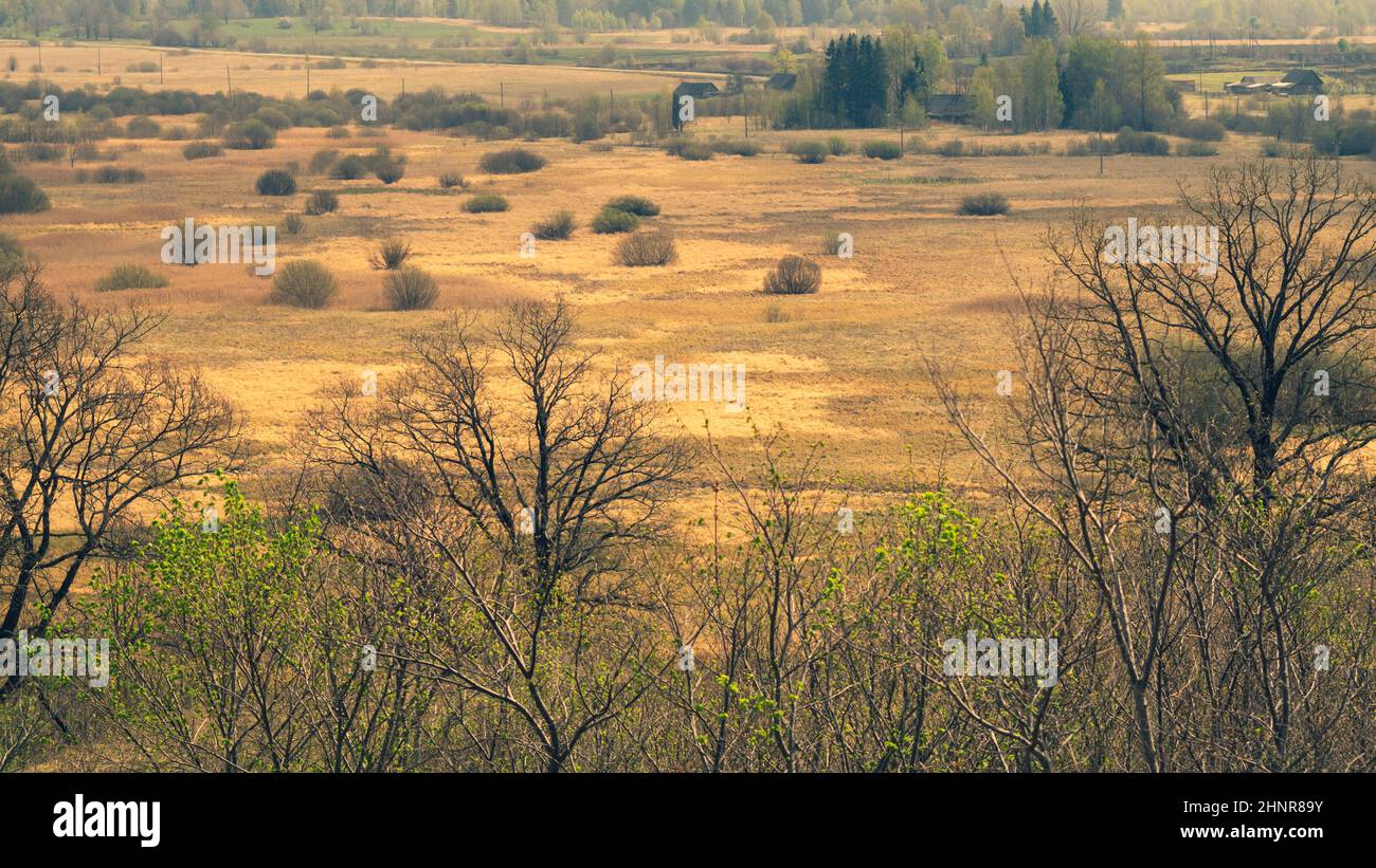 Nature panoramic landscape view from high. field with plants and trees ...