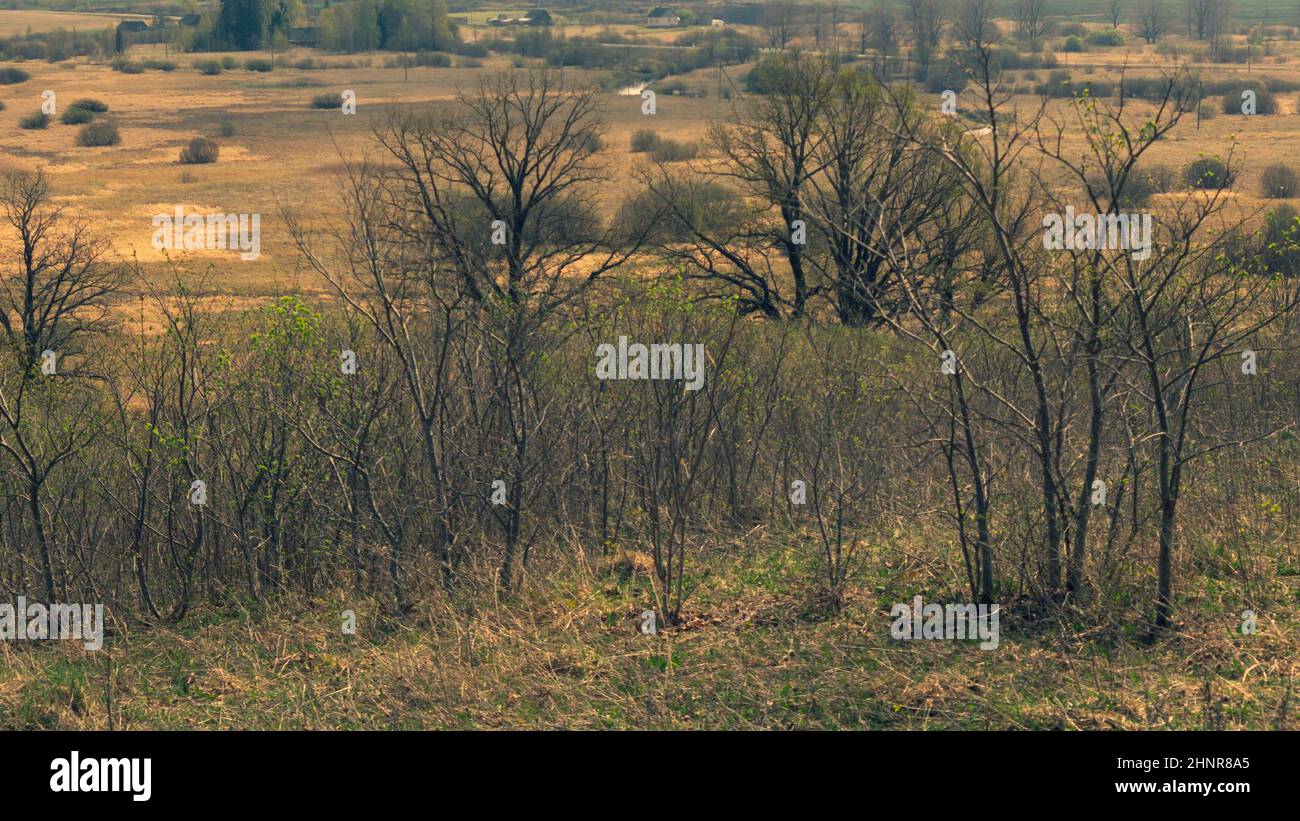 Nature panoramic landscape view from high. field with plants and trees ...