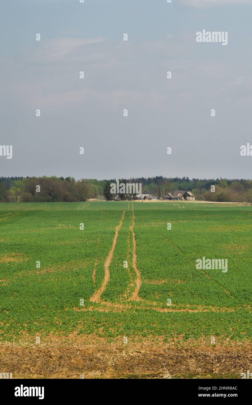 Wide field and the sky nature landscape background. horizon line Stock ...
